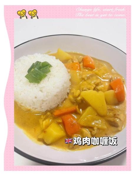 鸡肉咖喱饭怎么做_鸡肉咖喱饭的做法窍门-第2张图片-山城妙识