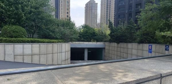 生毛肚煮多久能熟_毛肚煮几分钟口感最佳-第1张图片-山城妙识