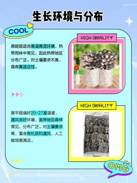 黑姬菇怎么做好吃_黑姬菇的营养价值-第1张图片-山城妙识