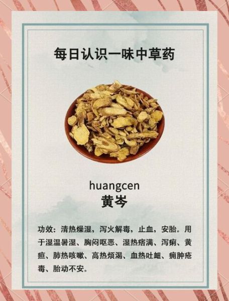 黄芩什么人不能吃_黄芩禁忌人群有哪些-第1张图片-山城妙识