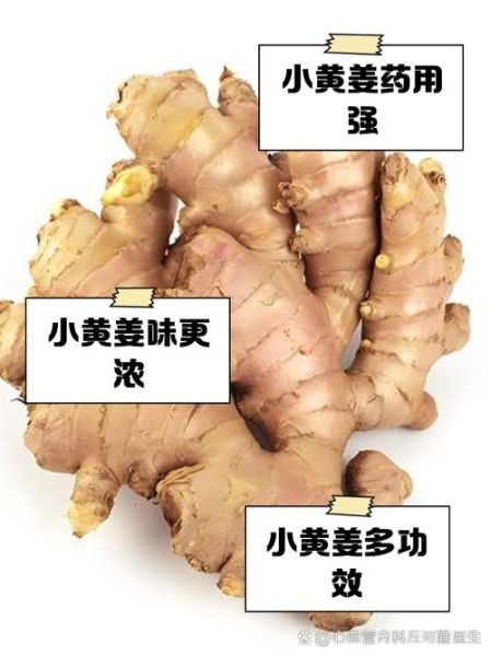 黄姜和生姜的区别_哪个更适合做菜-第1张图片-山城妙识 黄姜和生姜的区别_哪个更适合做菜-第1张图片-山城妙识