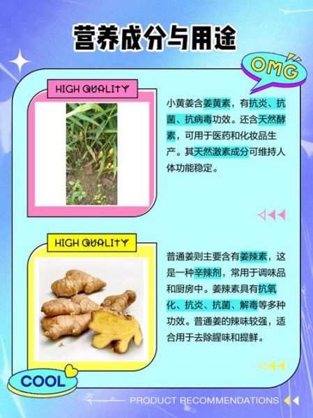 黄姜和生姜的区别_哪个更适合做菜-第2张图片-山城妙识 黄姜和生姜的区别_哪个更适合做菜-第2张图片-山城妙识