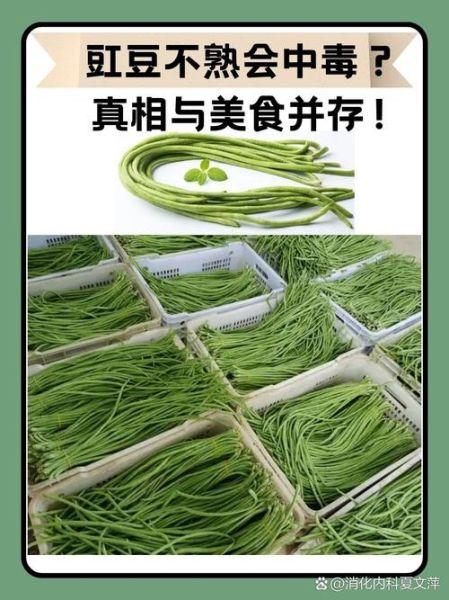 豆角中毒多久能缓解_豆角中毒一般几个小时能好-第1张图片-山城妙识