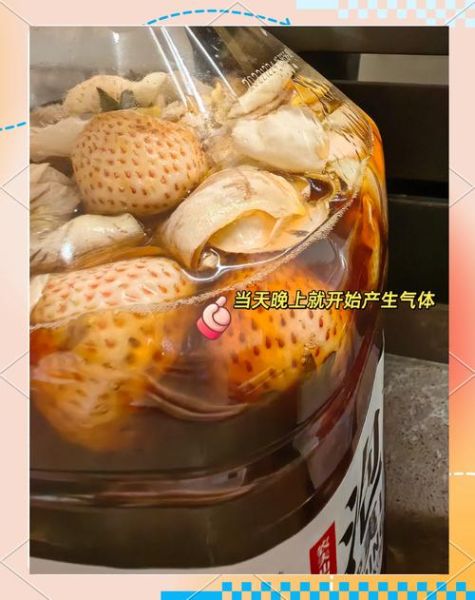 酵素怎么做_家庭自制酵素方法-第2张图片-山城妙识 酵素怎么做_家庭自制酵素方法-第2张图片-山城妙识