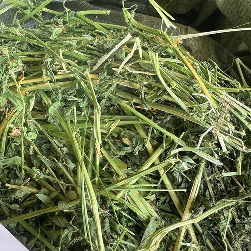 苜蓿干草多少钱一吨_苜蓿干草价格走势-第1张图片-山城妙识