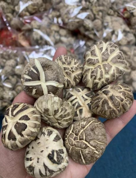 花菇和香菇的区别_冬菇怎么挑选-第1张图片-山城妙识