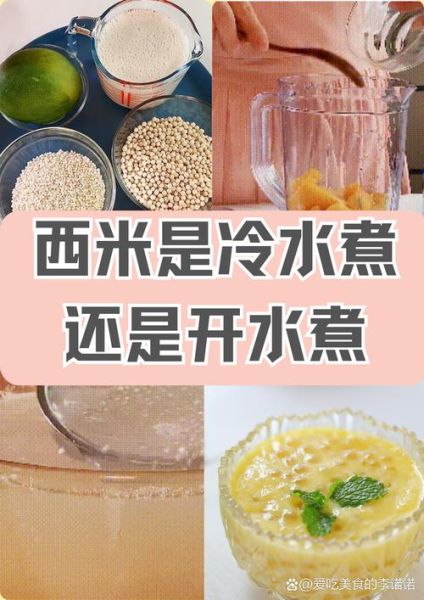 西米是什么东西_西米是什么材料做的-第1张图片-山城妙识 西米是什么东西_西米是什么材料做的-第1张图片-山城妙识