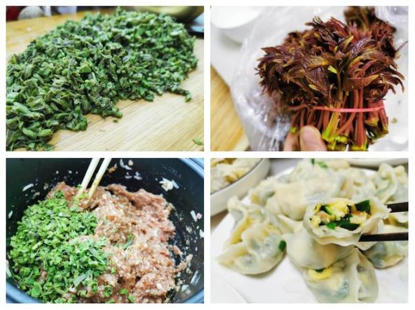 香椿饺子馅怎么做_香椿饺子馅的做法大全-第1张图片-山城妙识