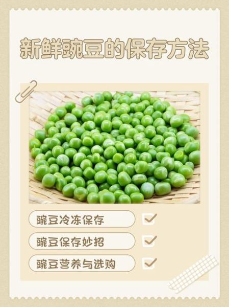 豌豆怎么保存才新鲜_豌豆放冰箱能放多久-第1张图片-山城妙识