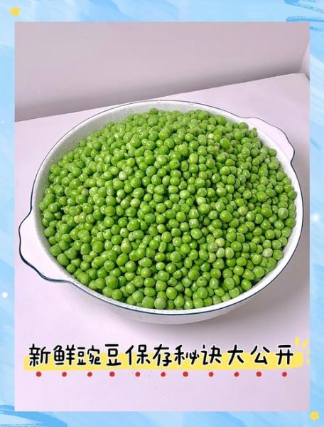 豌豆怎么保存才新鲜_豌豆放冰箱能放多久-第2张图片-山城妙识
