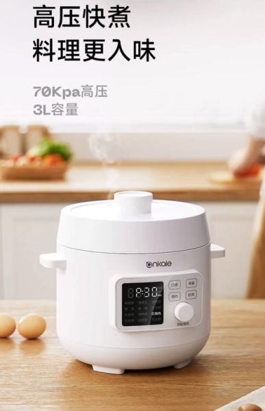 什么牌子电压力锅好_电压力锅哪个品牌质量好-第3张图片-山城妙识 什么牌子电压力锅好_电压力锅哪个品牌质量好-第3张图片-山城妙识