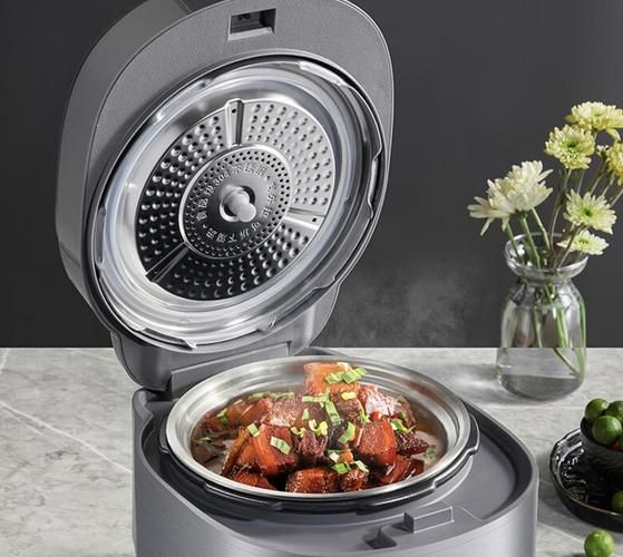 什么牌子电压力锅好_电压力锅哪个品牌质量好-第2张图片-山城妙识 什么牌子电压力锅好_电压力锅哪个品牌质量好-第2张图片-山城妙识