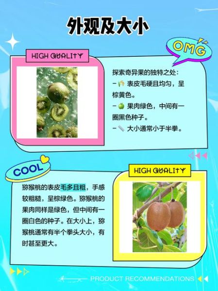 猕猴桃和奇异果一样吗_区别与营养价值对比-第2张图片-山城妙识 猕猴桃和奇异果一样吗_区别与营养价值对比-第2张图片-山城妙识