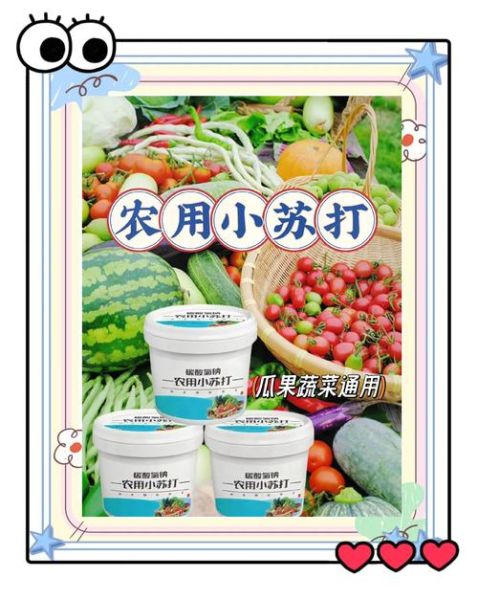 食用小苏打有什么作用_食用小苏打能做什么-第3张图片-山城妙识