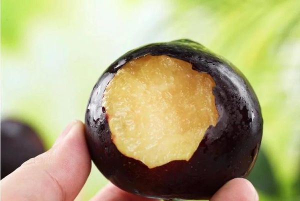 黑布林吃了会发胖吗_黑布林热量高不高-第1张图片-山城妙识