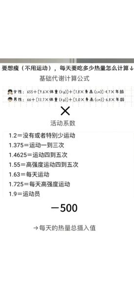 食物热量计算器哪个好用_如何计算每日摄入热量-第1张图片-山城妙识 食物热量计算器哪个好用_如何计算每日摄入热量-第1张图片-山城妙识