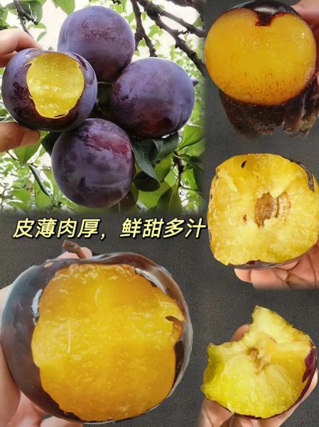 黑布林吃了会发胖吗_黑布林热量高不高-第3张图片-山城妙识