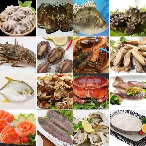 水产品有哪些_常见海鲜种类大全-第1张图片-山城妙识