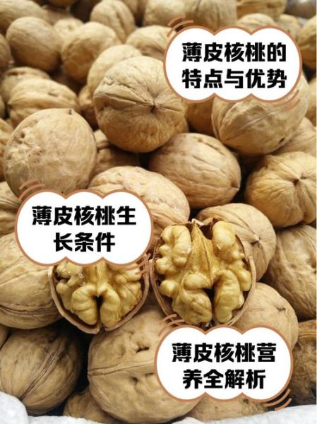 野核桃皮的功效与作用_野核桃皮怎么用效果最好-第2张图片-山城妙识