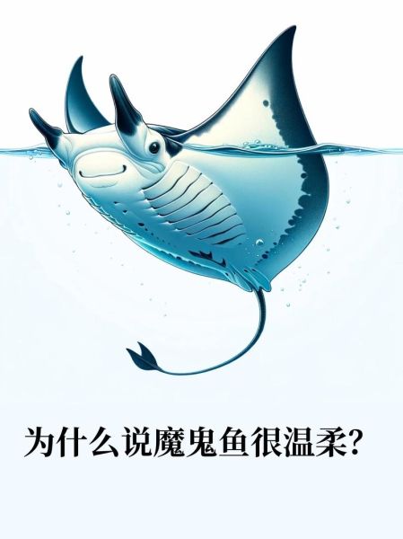 魔鬼鱼图片_魔鬼鱼为什么叫魔鬼鱼-第1张图片-山城妙识 魔鬼鱼图片_魔鬼鱼为什么叫魔鬼鱼-第1张图片-山城妙识