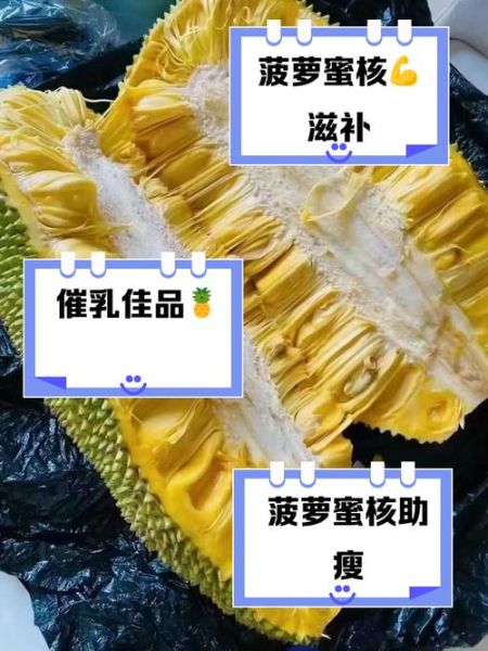 菠萝蜜有减肥功效吗_吃菠萝蜜能瘦身吗-第2张图片-山城妙识 菠萝蜜有减肥功效吗_吃菠萝蜜能瘦身吗-第2张图片-山城妙识