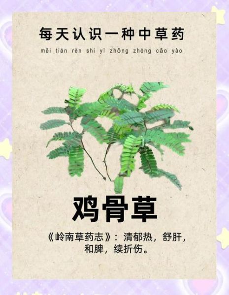 鸡骨草丸的功效与作用_鸡骨草丸能长期服用吗-第2张图片-山城妙识