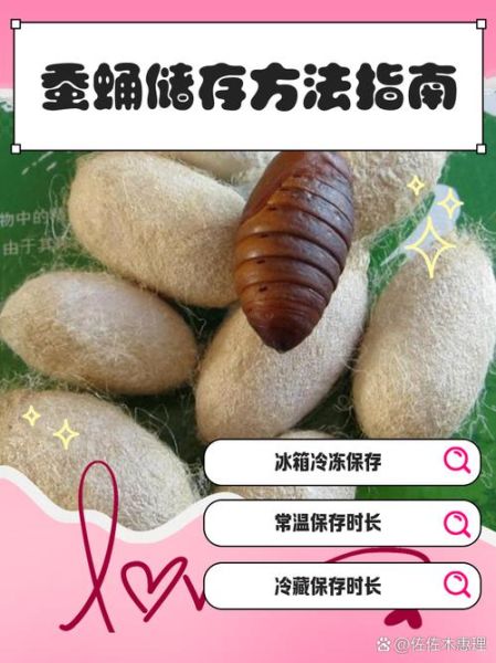 蝉蛹怎么保存_蝉蛹冷冻能放多久-第1张图片-山城妙识 蝉蛹怎么保存_蝉蛹冷冻能放多久-第1张图片-山城妙识
