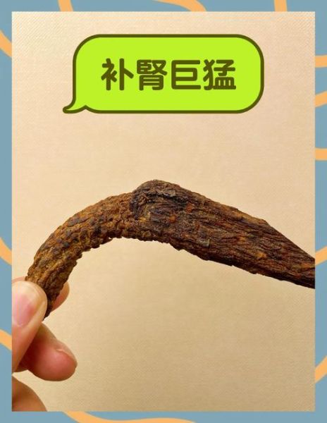 壮阳中药有哪些_如何坚硬如铁-第3张图片-山城妙识