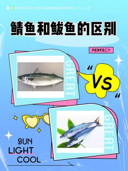 鲐鲅鱼怎么读_鲐鲅鱼和鲅鱼的区别-第2张图片-山城妙识 鲐鲅鱼怎么读_鲐鲅鱼和鲅鱼的区别-第2张图片-山城妙识