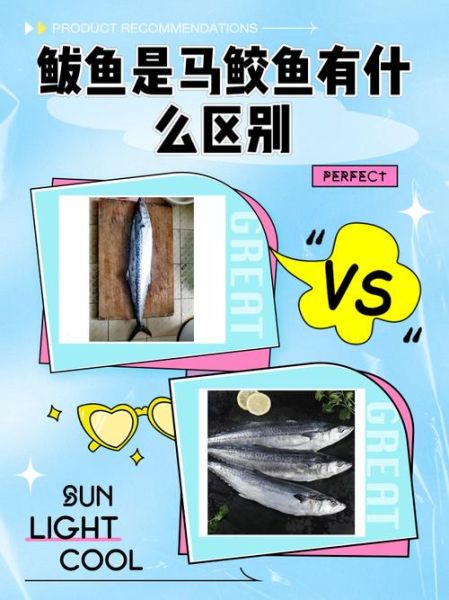 鲐鲅鱼怎么读_鲐鲅鱼和鲅鱼的区别-第3张图片-山城妙识 鲐鲅鱼怎么读_鲐鲅鱼和鲅鱼的区别-第3张图片-山城妙识