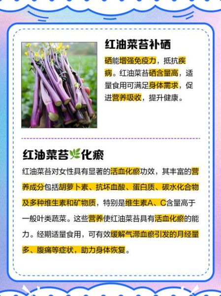 红菜苔的功效与作用_红菜苔的禁忌人群有哪些-第3张图片-山城妙识