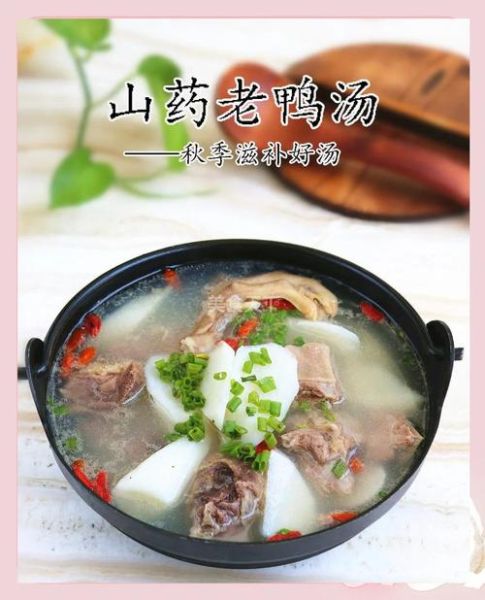 鸭子山药煲汤怎么做_鸭子山药煲汤的功效-第3张图片-山城妙识