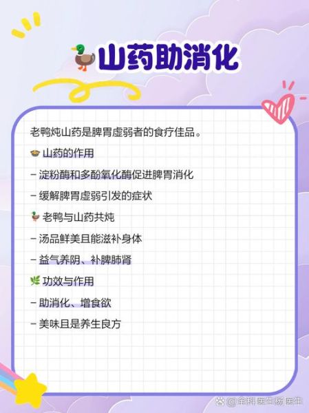 鸭子山药煲汤怎么做_鸭子山药煲汤的功效-第2张图片-山城妙识