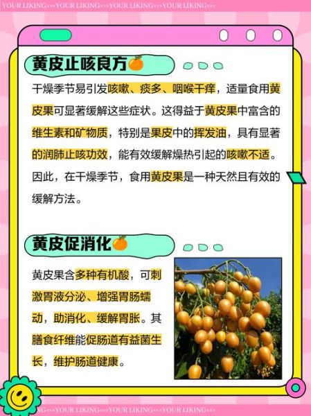 黄皮的功效与作用是什么_黄皮怎么吃最养人-第3张图片-山城妙识