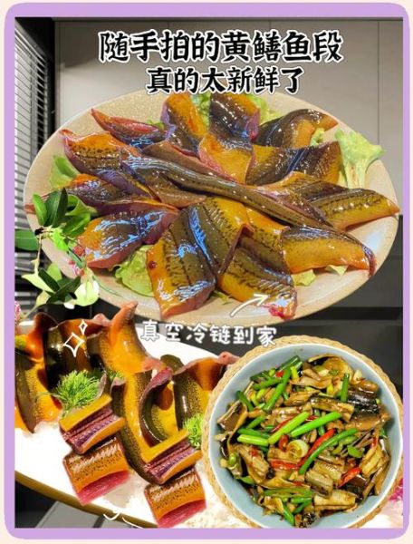 黄鳝鱼视频_怎么拍才吸引人-第2张图片-山城妙识