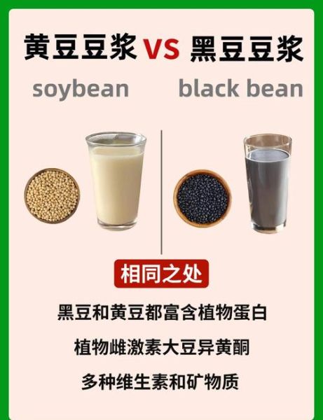 黄豆浆和黑豆浆的区别_哪个更营养-第1张图片-山城妙识