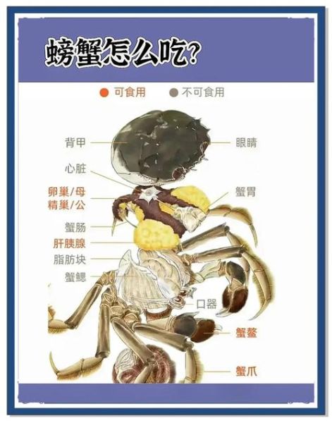 螃蟹能和鸡蛋一起吃吗_会不会中毒-第1张图片-山城妙识