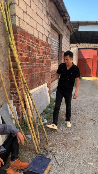 甘蔗图片搞笑_甘蔗梗图怎么拍-第2张图片-山城妙识 甘蔗图片搞笑_甘蔗梗图怎么拍-第2张图片-山城妙识