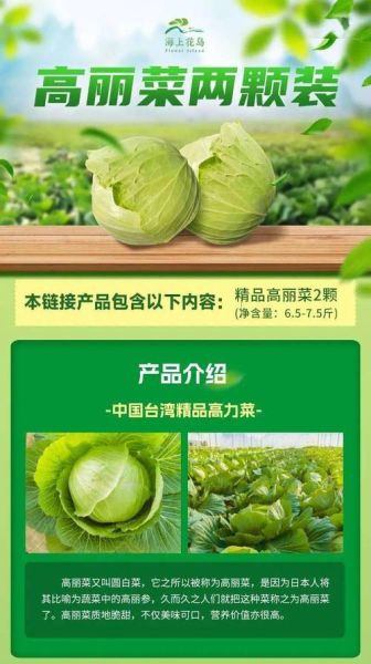 高丽菜和卷心菜的区别_高丽菜就是卷心菜吗-第1张图片-山城妙识