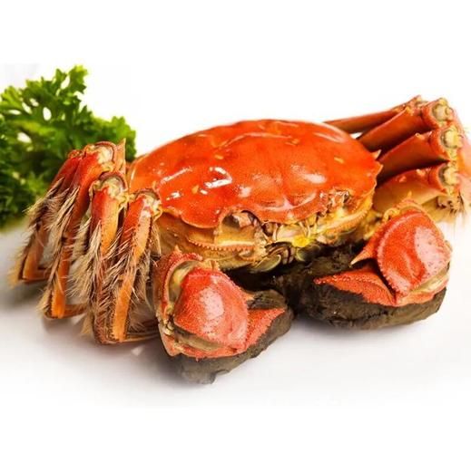 阳澄湖大闸蟹怎么煮_清蒸大闸蟹的正确做法-第2张图片-山城妙识 阳澄湖大闸蟹怎么煮_清蒸大闸蟹的正确做法-第2张图片-山城妙识