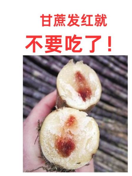 甘蔗图片搞笑_甘蔗梗图怎么拍-第3张图片-山城妙识 甘蔗图片搞笑_甘蔗梗图怎么拍-第3张图片-山城妙识