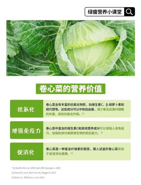 高丽菜和卷心菜的区别_高丽菜就是卷心菜吗-第3张图片-山城妙识