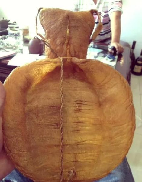 黄唇鱼多少钱一斤_黄唇鱼价格为什么这么贵-第3张图片-山城妙识