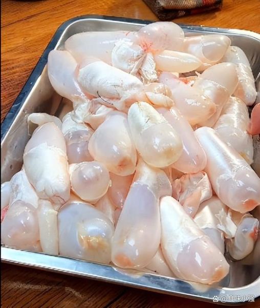 鱼泡怎么保存_鱼泡怎么清洗-第1张图片-山城妙识 鱼泡怎么保存_鱼泡怎么清洗-第1张图片-山城妙识