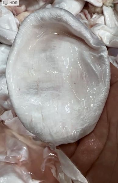 鱼泡怎么保存_鱼泡怎么清洗-第2张图片-山城妙识 鱼泡怎么保存_鱼泡怎么清洗-第2张图片-山城妙识