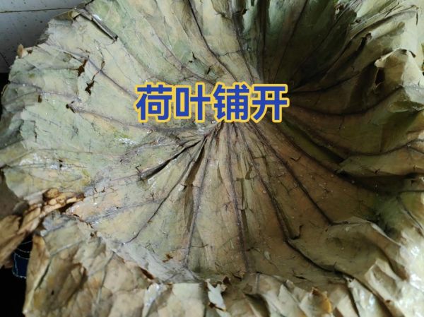 自制蒸肉米粉用什么米_蒸肉米粉要不要提前泡-第1张图片-山城妙识 自制蒸肉米粉用什么米_蒸肉米粉要不要提前泡-第1张图片-山城妙识