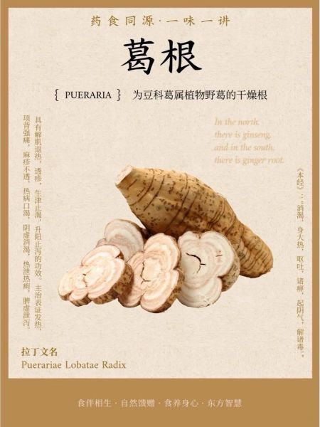 野生葛根粉的功效与作用_怎么吃效果最好-第2张图片-山城妙识