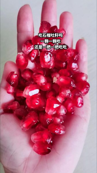 石榴怎么吃_石榴籽能吃吗-第2张图片-山城妙识