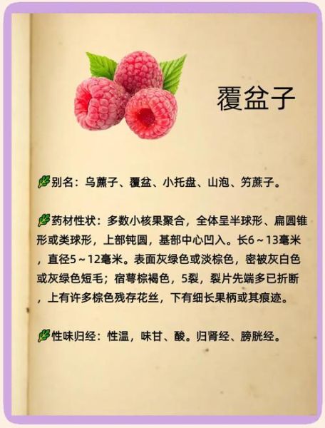覆盆子是什么水果_覆盆子功效与作用-第1张图片-山城妙识