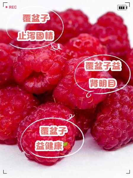 覆盆子是什么水果_覆盆子功效与作用-第3张图片-山城妙识